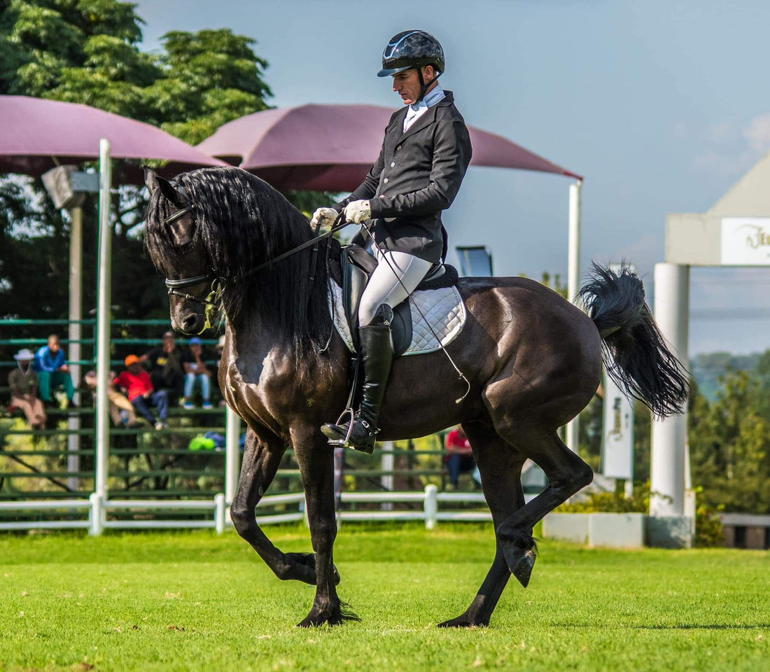 Hello Quality Equestrian | Handcrafted Leather Riding Boots