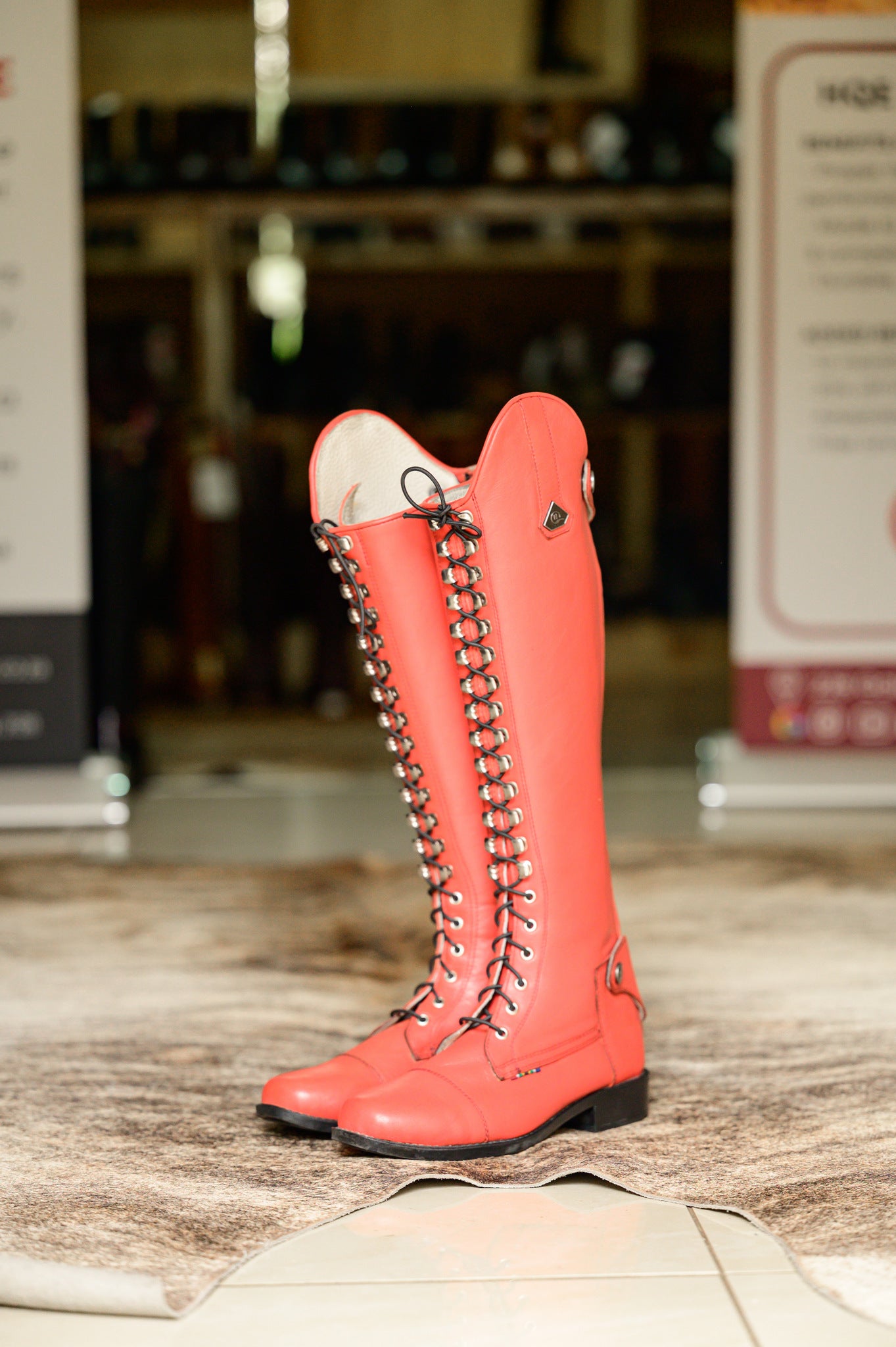 Tsoka Coral Demo – Hello Quality Equestrian